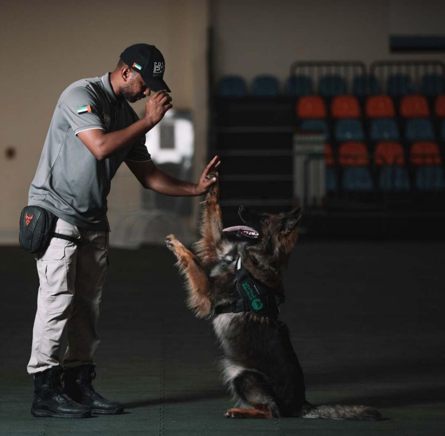 Dubai Police K9 Unit Completes 2,800 Missions in 2024, Enhancing Public ...