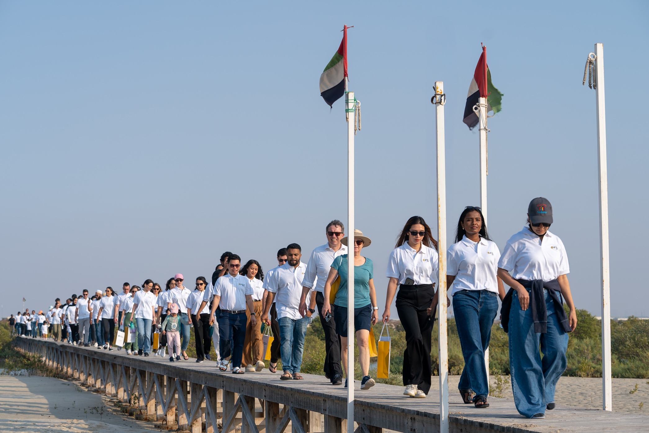 IFZA Plants thousands of Mangrove Trees to Enhance UAE’s Ecosystem ...