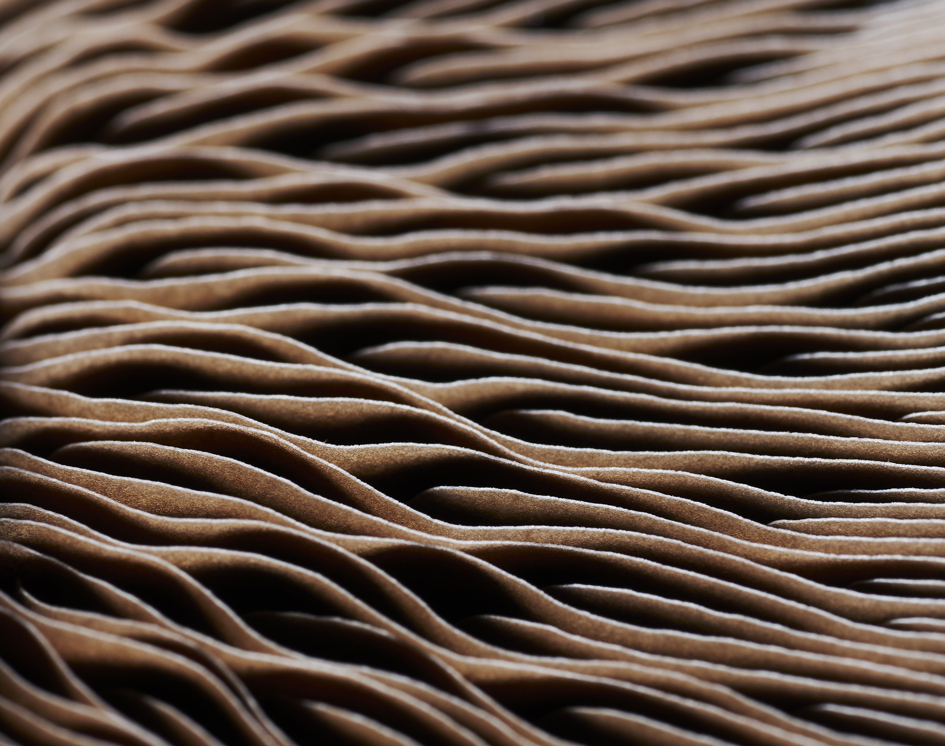 UAE Sets New Filing Thresholds for Merger Control - UPPERNEWS: UAE news ...