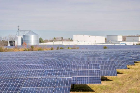 Emerge and Tanmiah Food Company Partner for Sustainability - UPPERNEWS ...