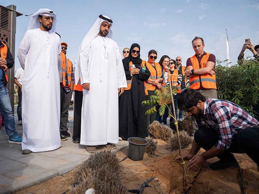Abu Dhabi's Climate-Controlled Walkway Revolutionizes Urban Life ...