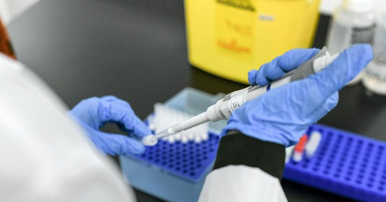 Over 800 000 Emiratis Participate in UAE Genome Programme to Enhance ...